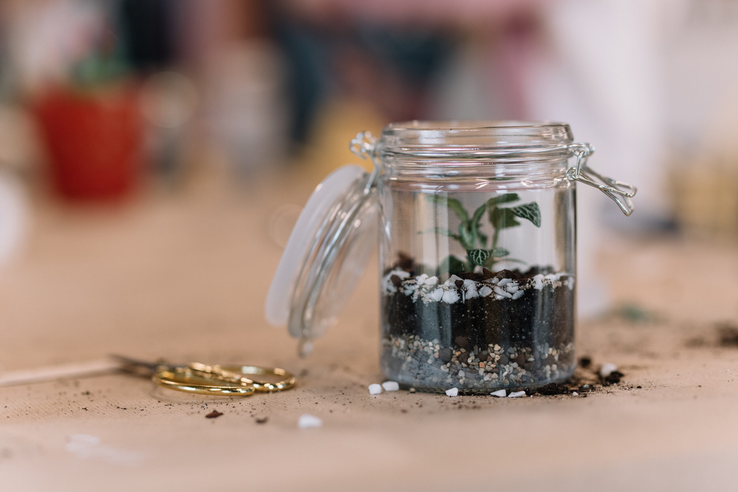 Mini terarij, radionica izrade mini vrta u staklenci - djecjakuca.hr